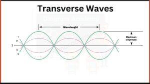 Transverse Waves Diagram