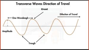 Transverse Waves Diagram