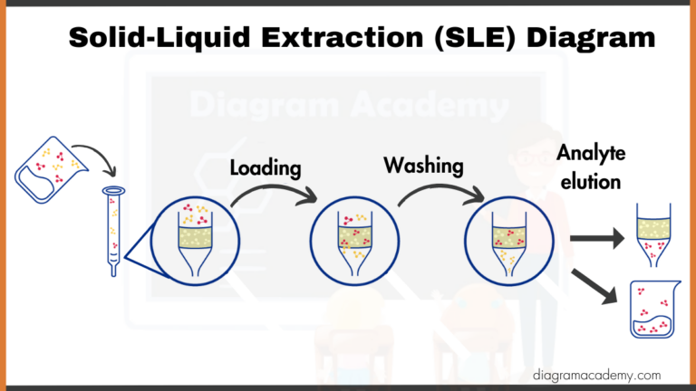 Solid-Liquid Extraction (SLE) Diagram with Explanation