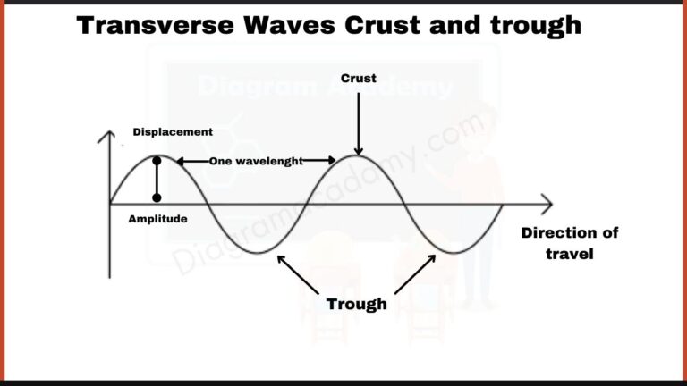 Transverse Waves Diagram