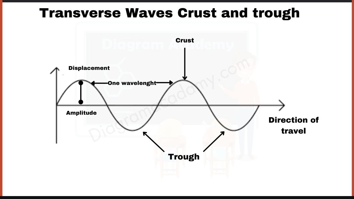 Transverse Waves Diagram