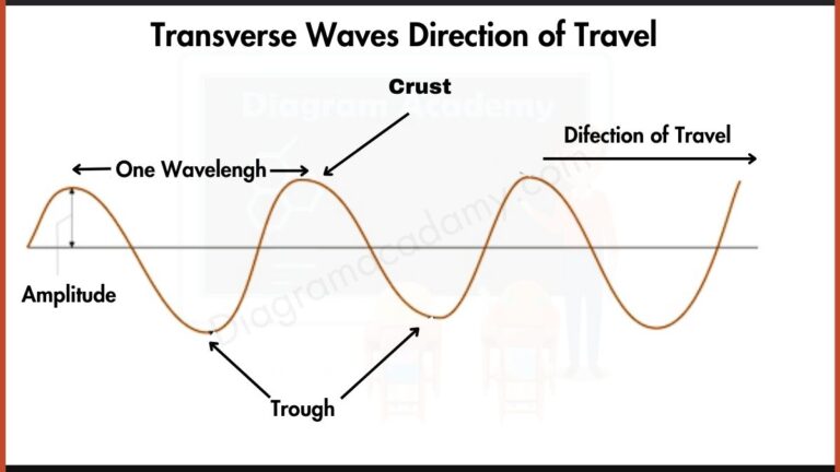 Transverse Waves Diagram